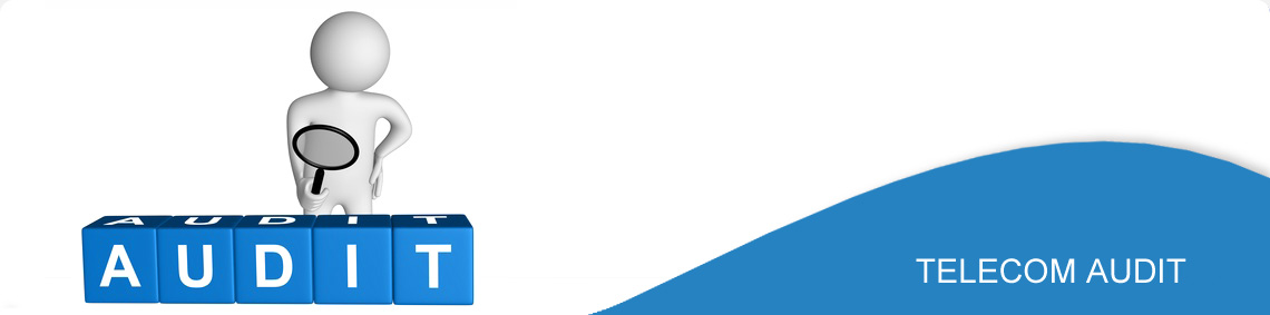 Telecom Services and Consultant : Telecom Audit