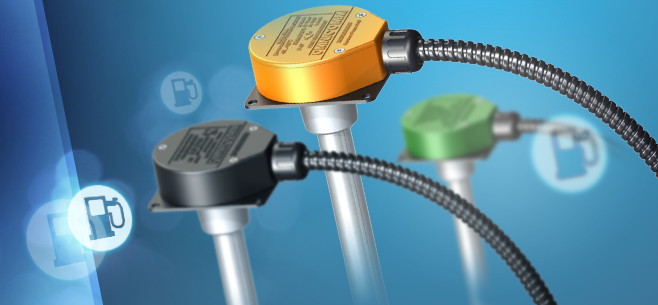 Telecom Services and Consultant : Routing and Switching